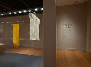 The Art and Design of Spider Silk | RISD Museum