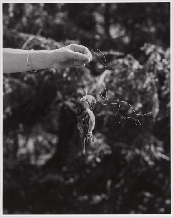 Jesse Burke | RISD Museum