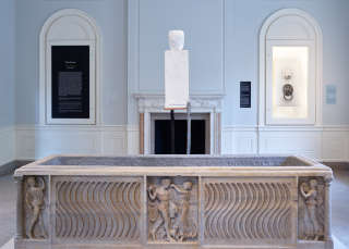 Raid the Icebox Now with Simone Leigh | RISD Museum