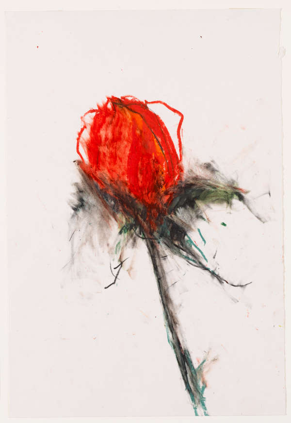 Collection | RISD Museum