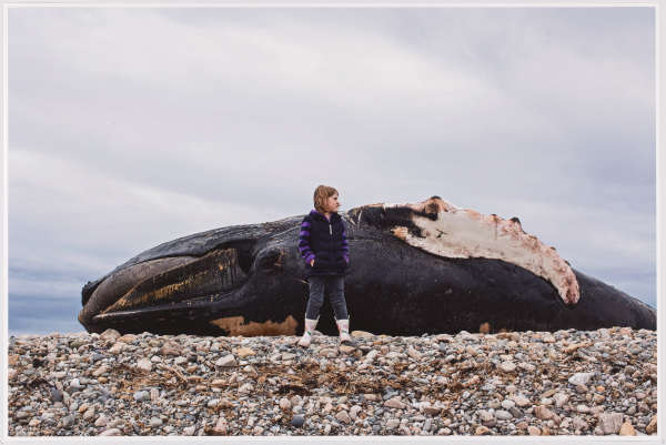 Jesse Burke | RISD Museum