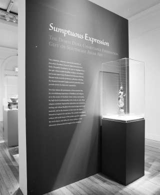 Sumptuous Expression | RISD Museum
