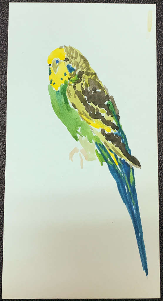 Nature Study:Parakeet | RISD Museum