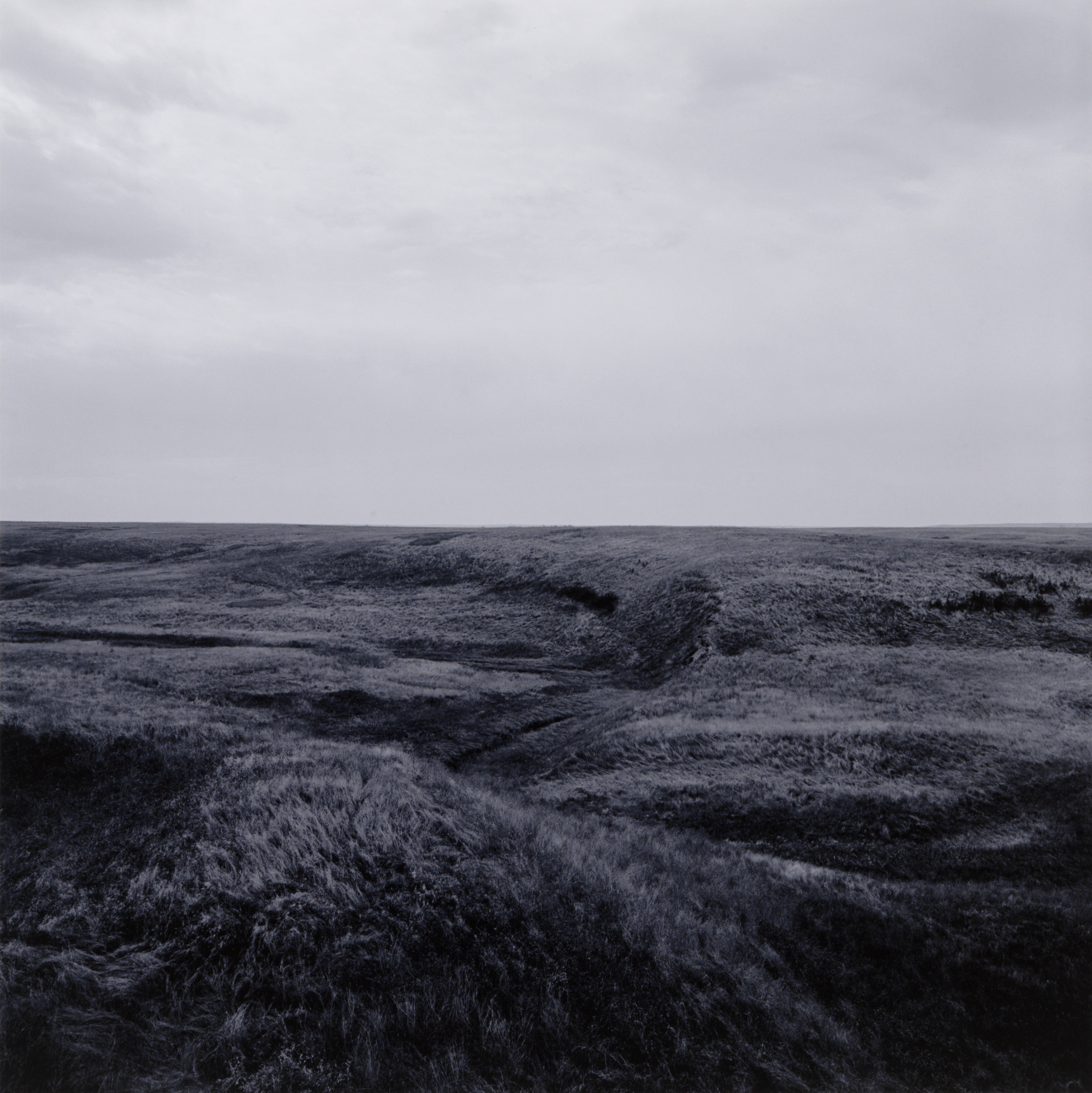 Joe Deal | RISD Museum