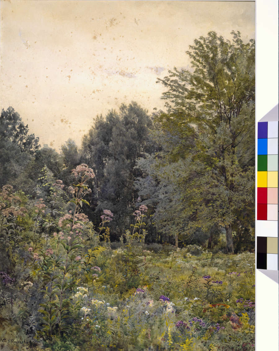 Field Study | RISD Museum